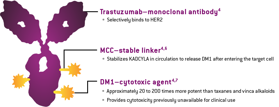 How KADCYLA® (ado-trastuzumab emtansine) is Designed to Work in EBC
