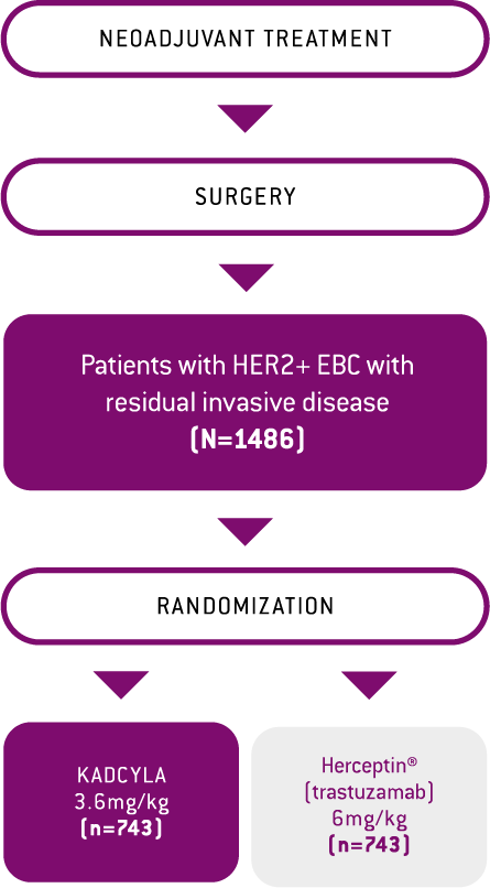 herceptin administration protocol